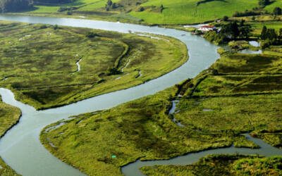 Reducción de caudales del río Oka - Conflictos del Agua